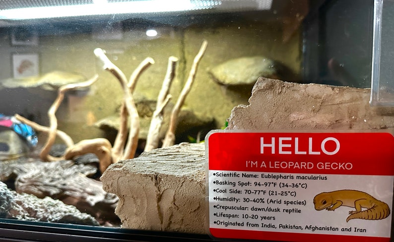 Hello I'm A Leopard Gecko Tank Sticker | Reptile Info Label - Etsy
