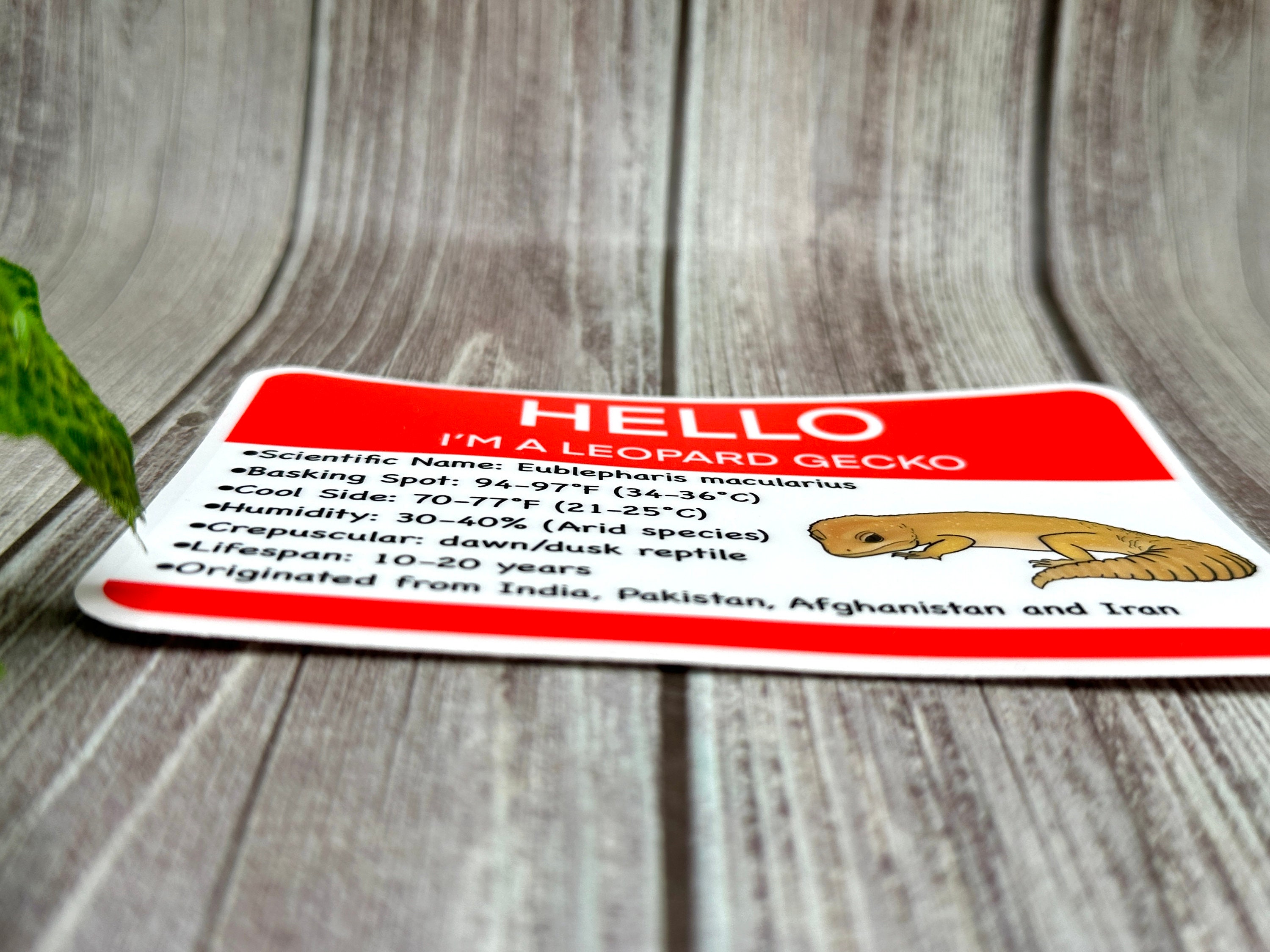 Hello I'm A Leopard Gecko Tank Sticker | Reptile Info Label - Etsy