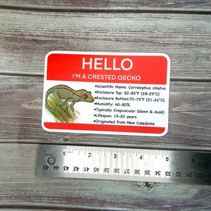 Hello I'm A Crested Gecko Tank Sticker | Reptile Info Label - Etsy