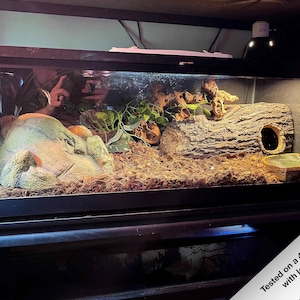 Terrarium Boots Elevation for Your Tanks - Etsy