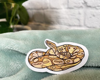 Ball Python Popular Morphs 6 Colors Wild Banana Coral - Etsy