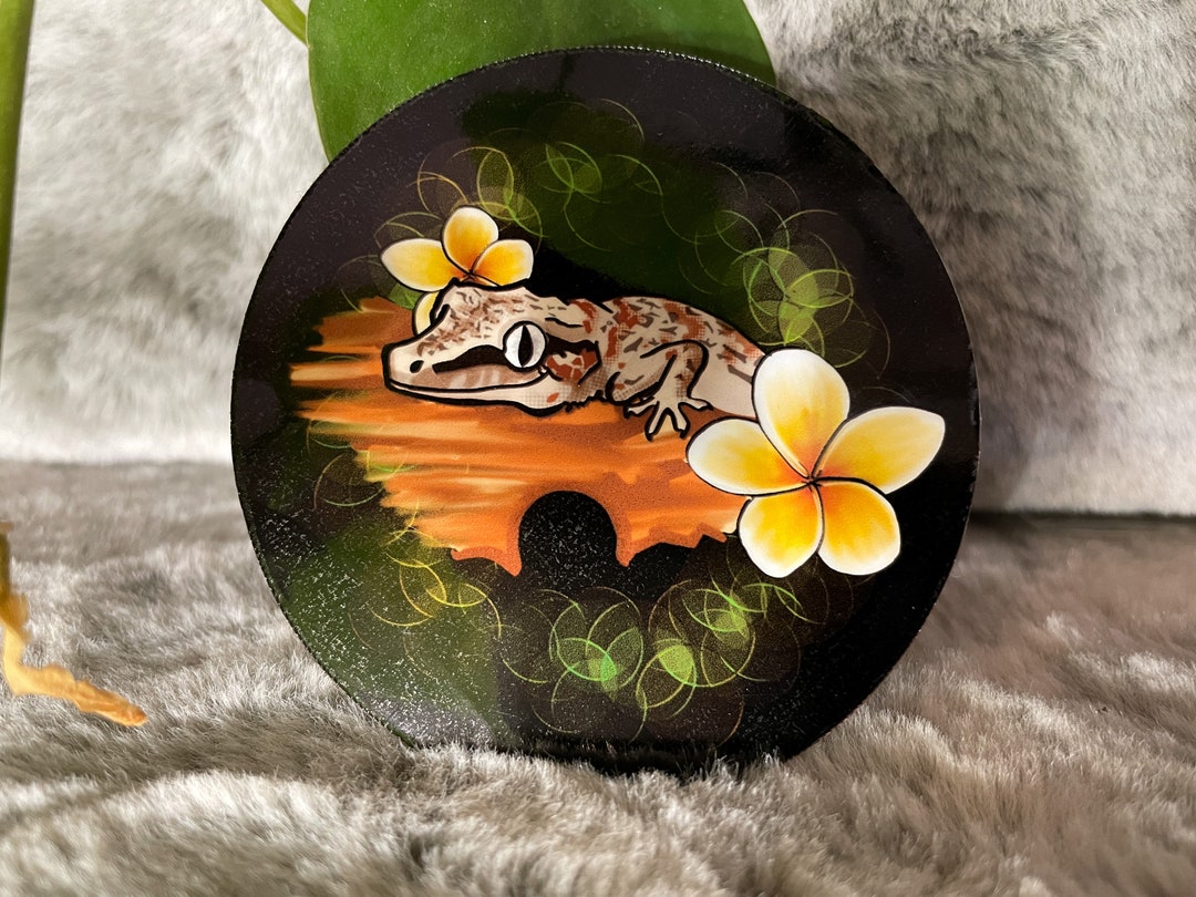 Gargoyle Gecko Vinyl Sticker - Etsy