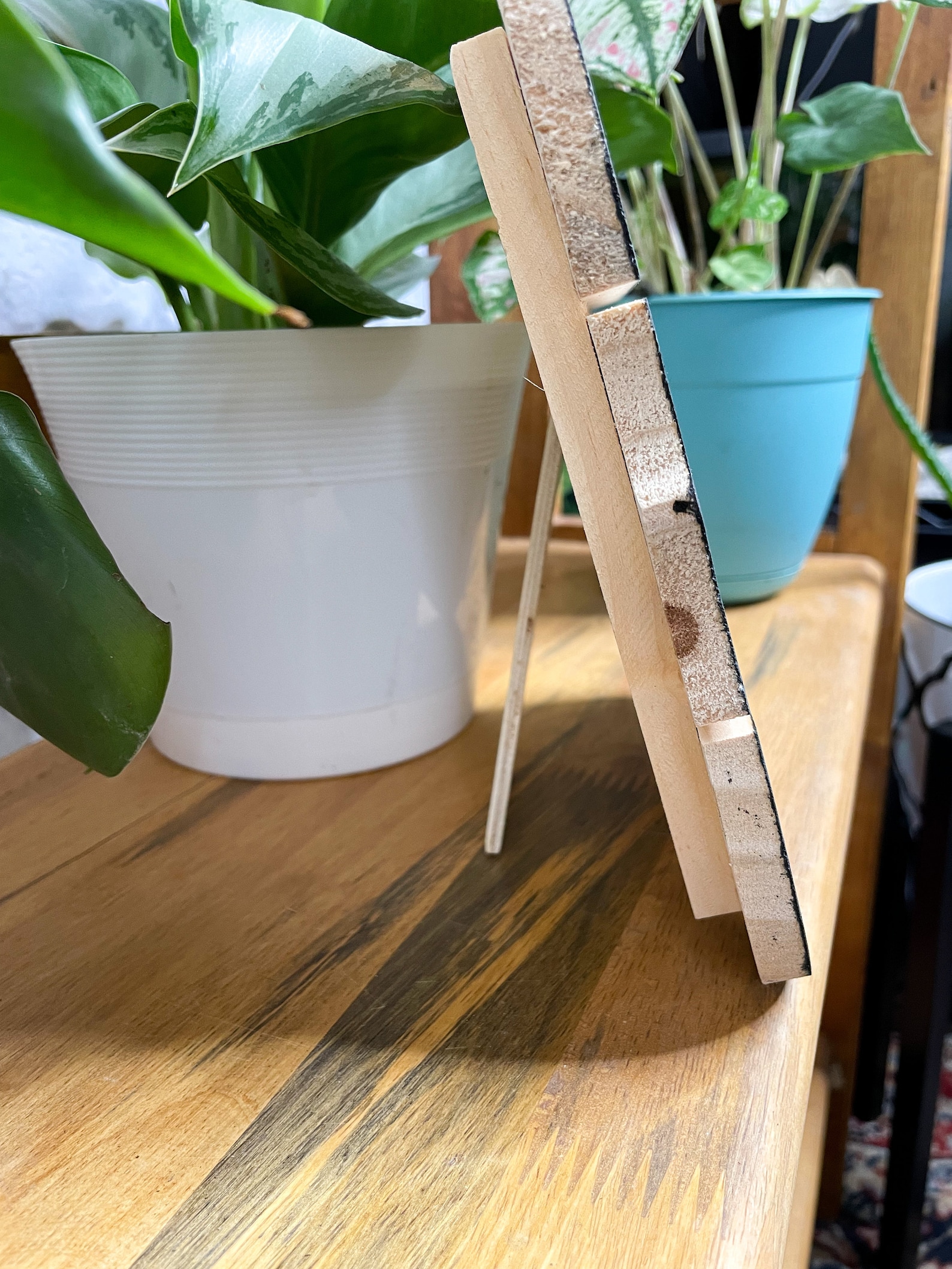 Personalized Reptile Room Sign Wooden Tabletop Pet Room Sign - Etsy UK