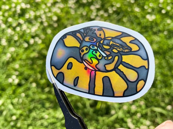 Holographic Pastel Ball Python Sticker | Etsy