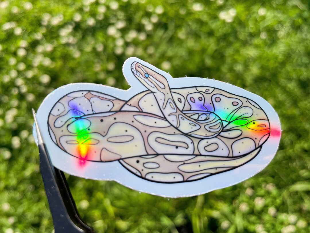 Holographic Banana Ball Python Sticker - Etsy