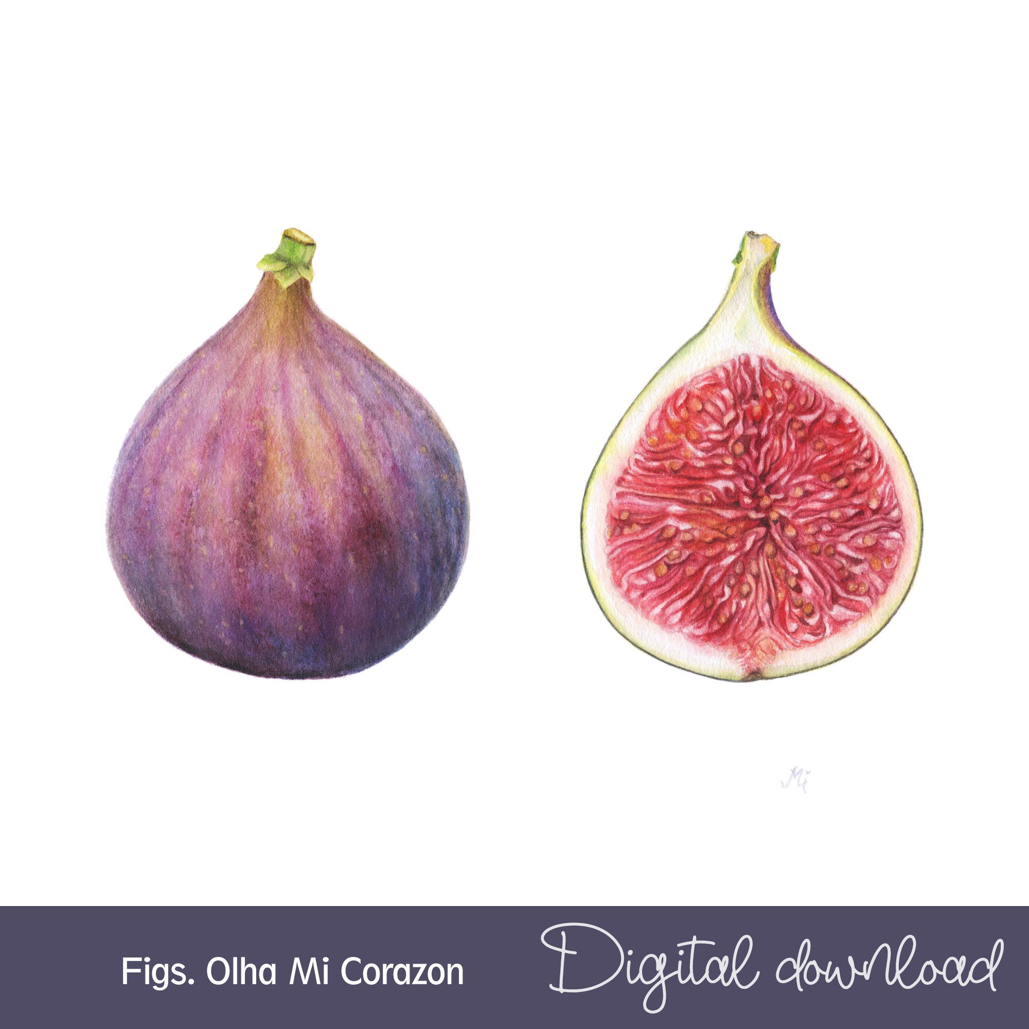 Figs. Watercolor Painting Instant Download. Watercolor Fruits - Etsy