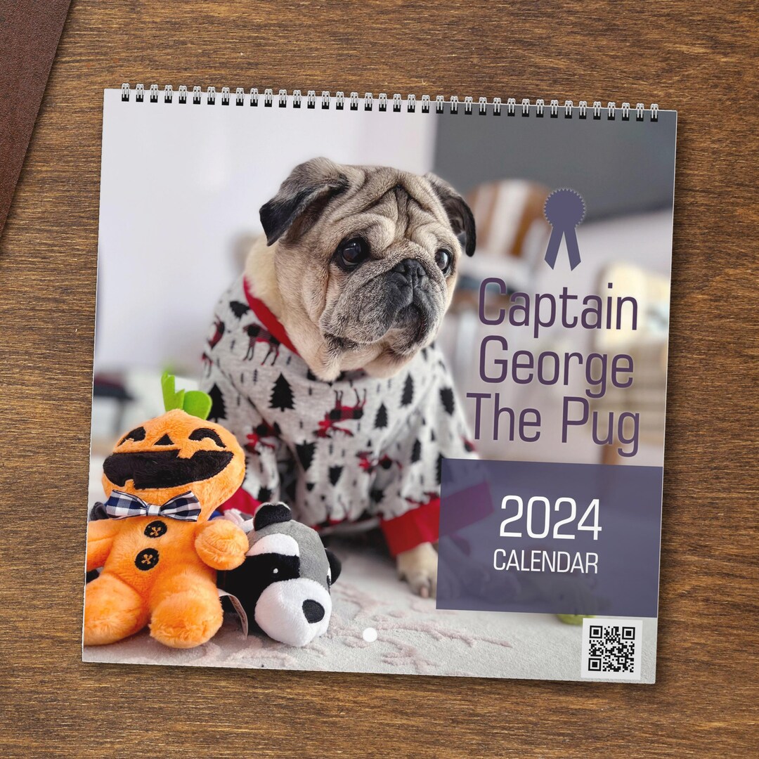 Wall Calendar 2024 Pug Captain George, Calendar for Pug Lovers, 2024 12 ...