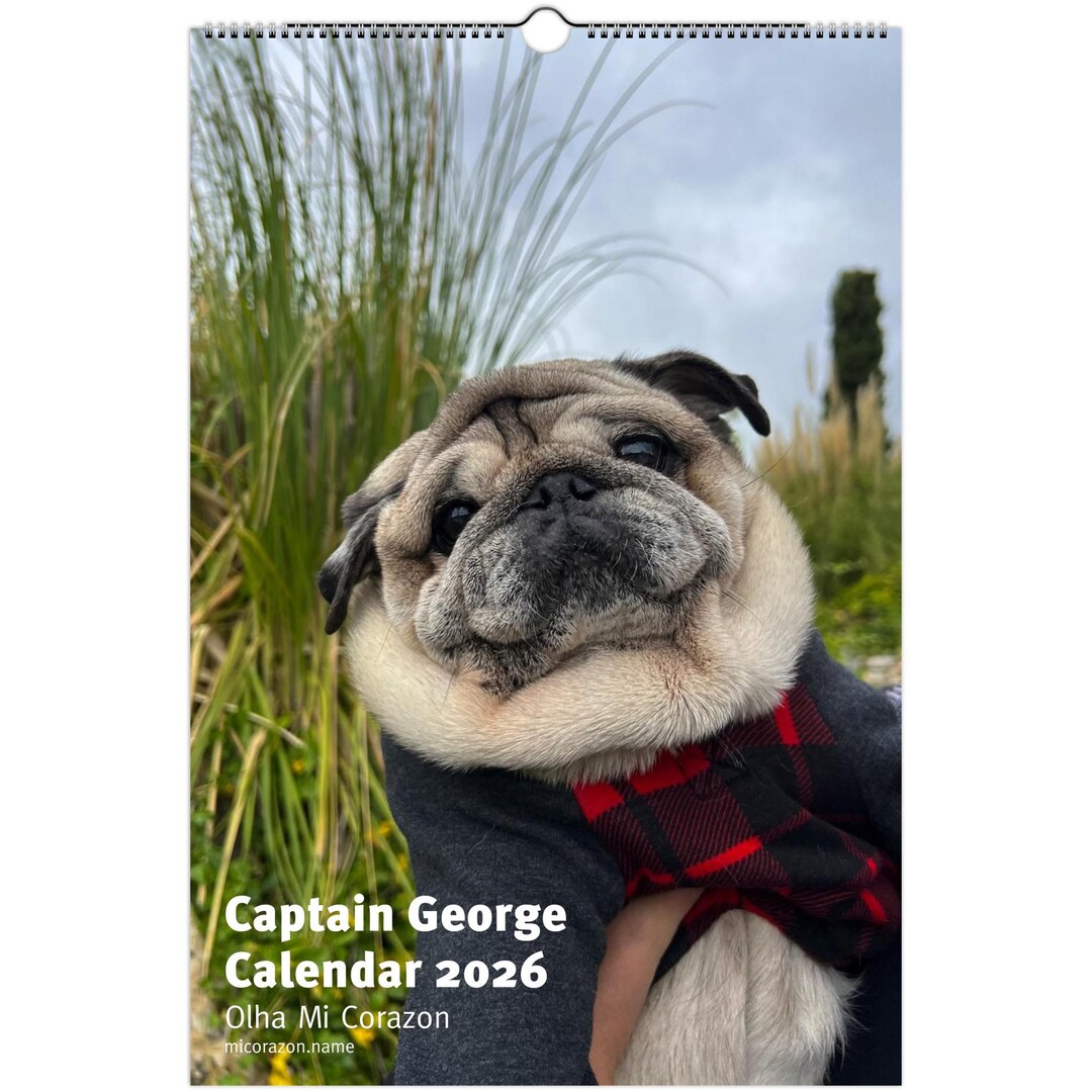 Calendario 2026 (Grande) – El Capitán George el Pug | Momentos ...