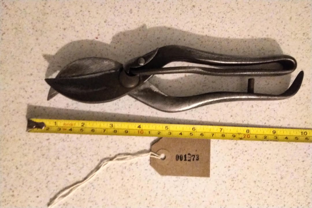 French "outils Aubert" Pattern Secateurs in Excellent Condition Cleaned ...