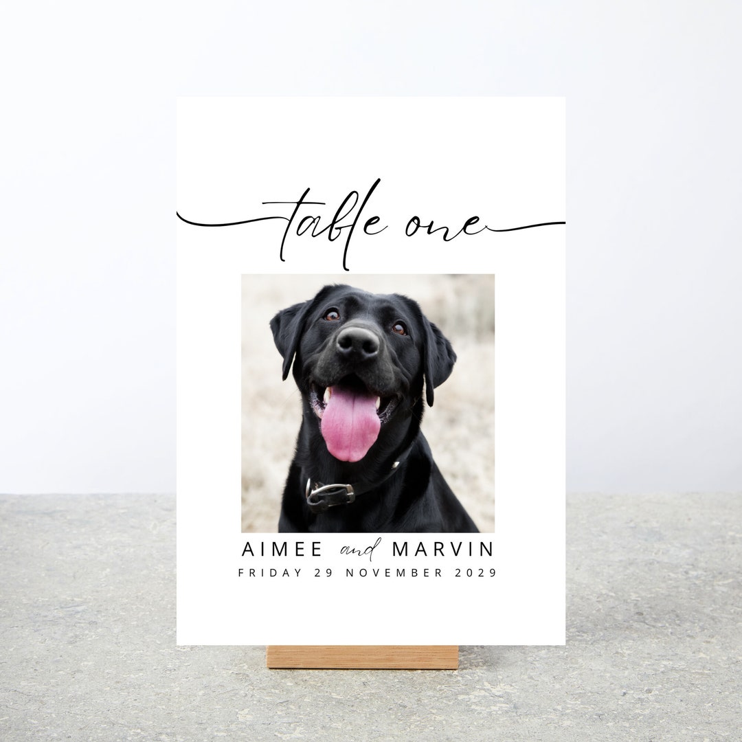 My Humans Are Getting Married Table Numbers, Dog Photo Table Name Cards ...