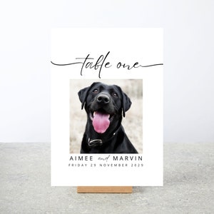My Humans Are Getting Married Table Numbers, Dog Photo Table Name Cards ...