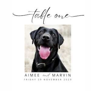 My Humans Are Getting Married Table Numbers, Dog Photo Table Name Cards ...