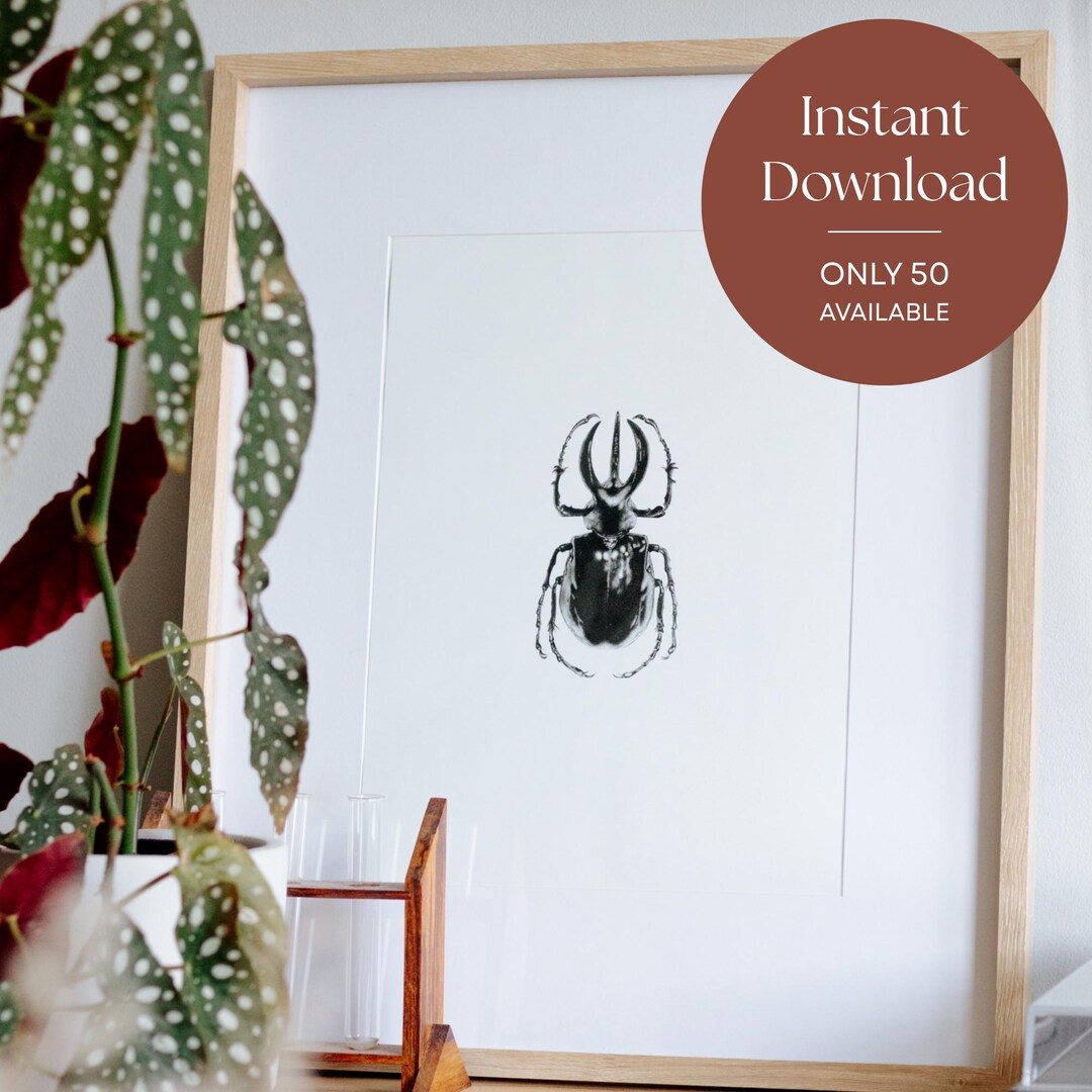 Hand-dotted Beetle Illustration | Fine Art Stippling Print | Insect ...