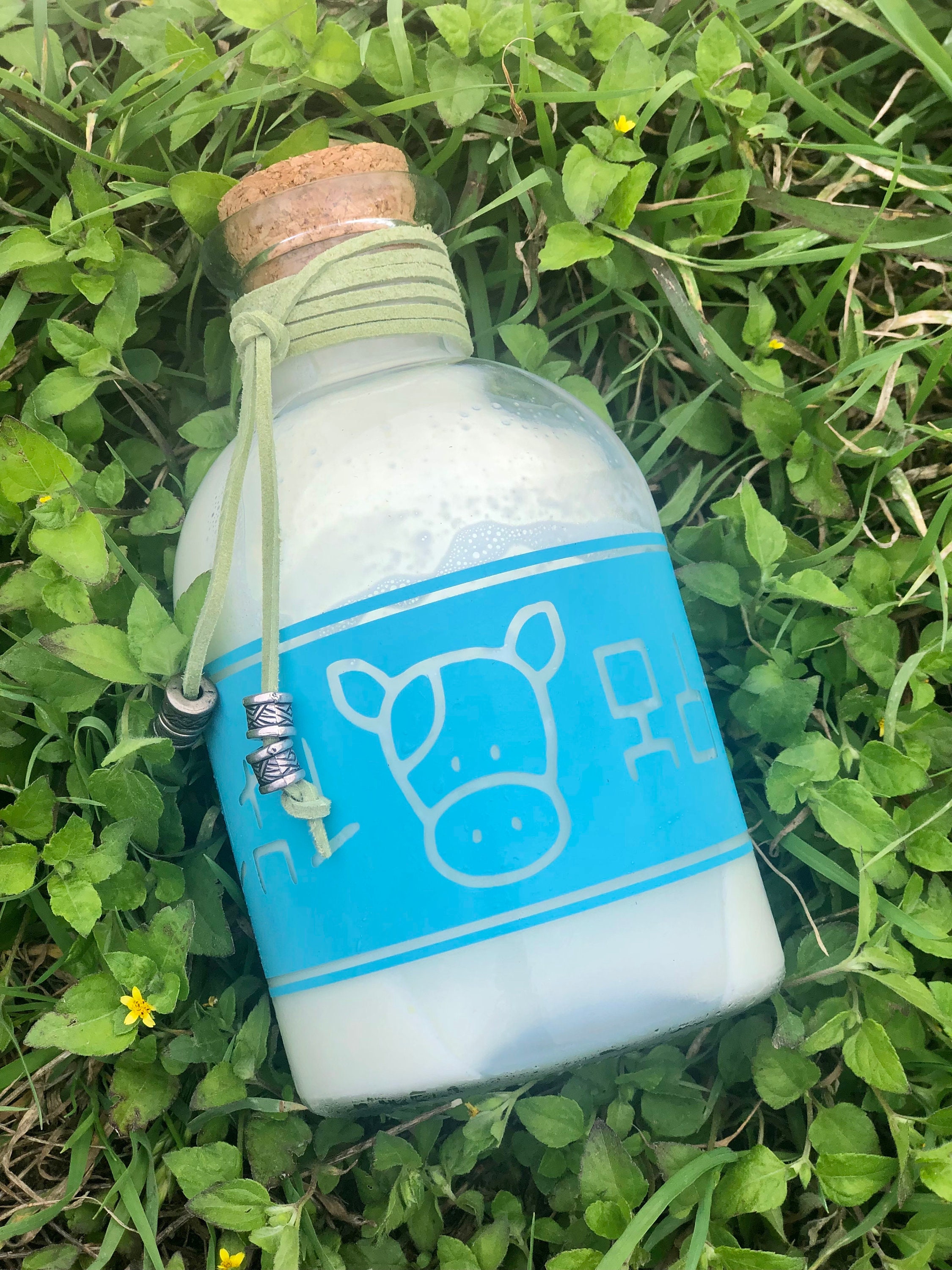 Lon Lon Milk Zelda Milk Bottle With Cork Glass Custom Message Gift for ...