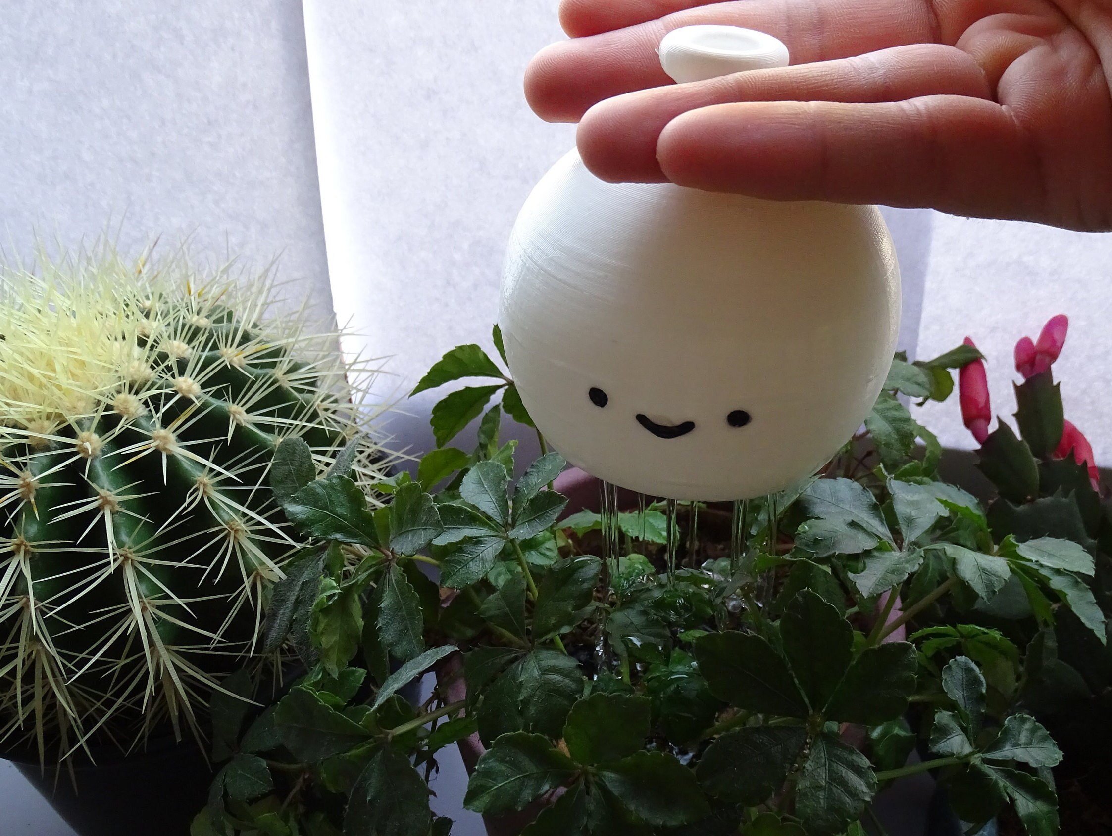 Cute Watering Bell for House Plants - Etsy