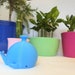 Cute Watering Bell for House Plants - Etsy