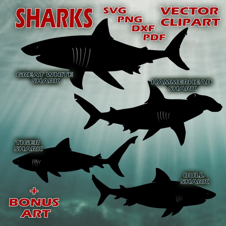 Sharks Clipart SVG DXF PNG Pdf - Etsy