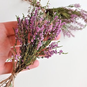 Mini Dried Heather Bouquet, Dry Purple Flowers, Wildflower Bouquet ...