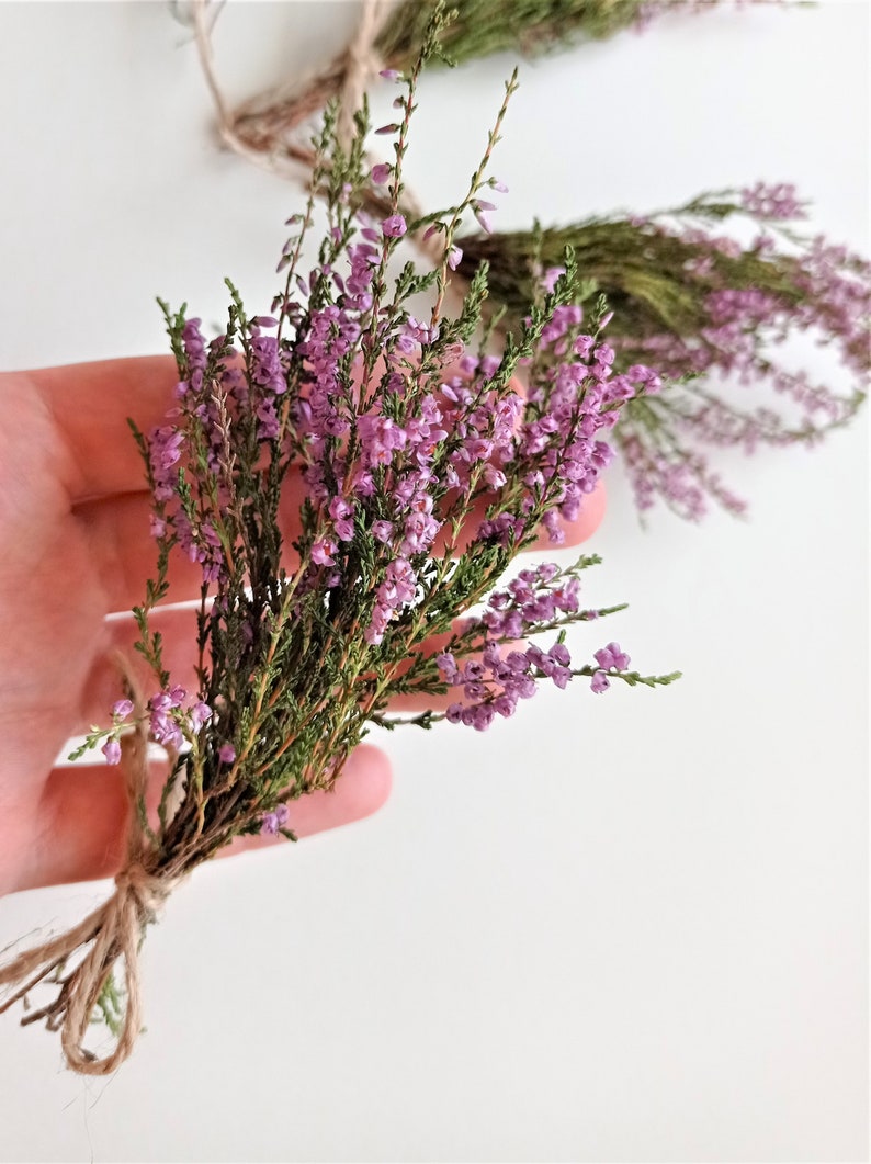 Mini Dried Heather Bouquet Dry Purple Flowers Wildflower - Etsy