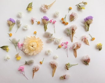 50ml Box Tiny Dried Flower Mix, Real Natural Mini Flowers, Bulk Flowers ...