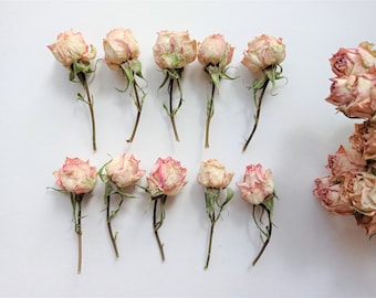 Dried Mini Roses on Small Stems Real Tiny Orange Rosebuds - Etsy