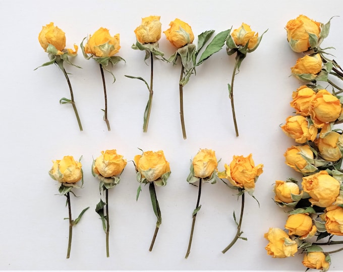 5pcs Dried Mini Roses, Dried Purple Beige Roses, Dried Tiny Roses ...