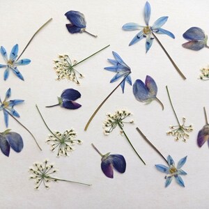 Pressed Blue Flower Set 18pcs, Dried Pressed White Summer Flower Mix, Bulk Pressed Delicate ...