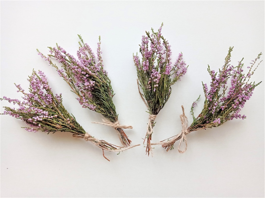 Mini Dried Heather Bouquet, Dry Purple Flowers, Wildflower Bouquet ...
