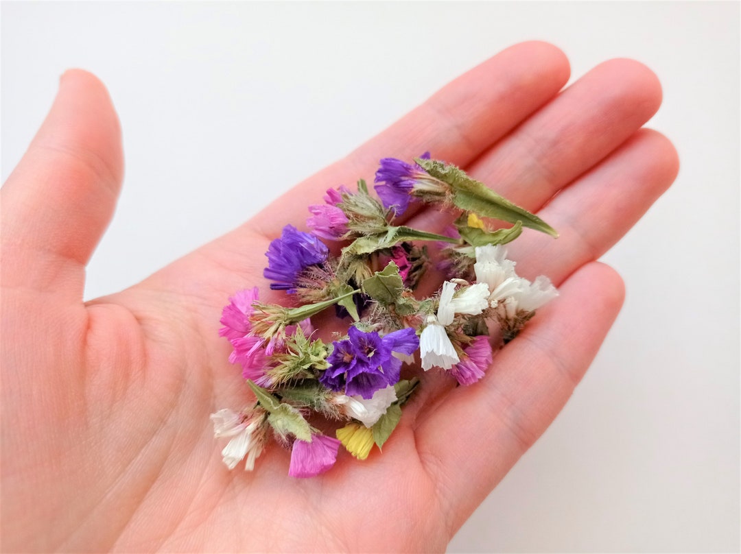 Tiny Multicolor Mini Flowers 50ml Box, Flower Confetti, Mixed Colorful ...