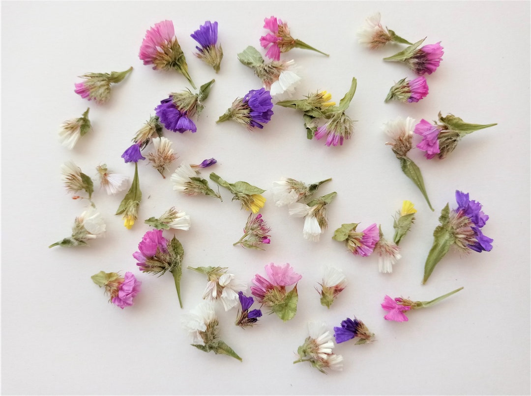 Tiny Multicolor Mini Flowers 50ml Box, Flower Confetti, Mixed Colorful ...