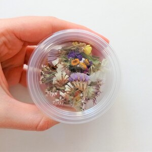 50ml Box Tiny Dried Flower Mix, Real Natural Mini Flowers, Bulk Flowers ...