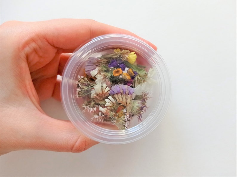 50ml Box Tiny Dried Flower Mix, Real Natural Mini Flowers, Bulk Flowers ...