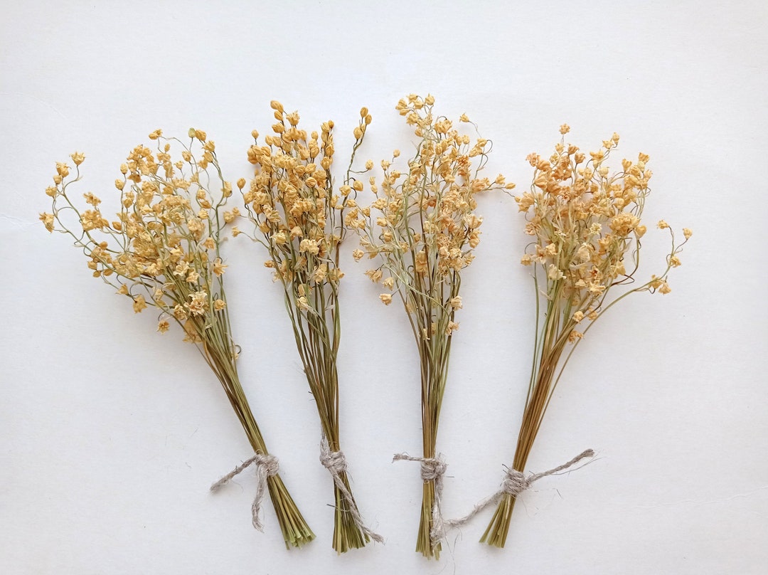 Dried Lilies of the Valley Bouquet, Beige Mini Flowers, Tiny ...