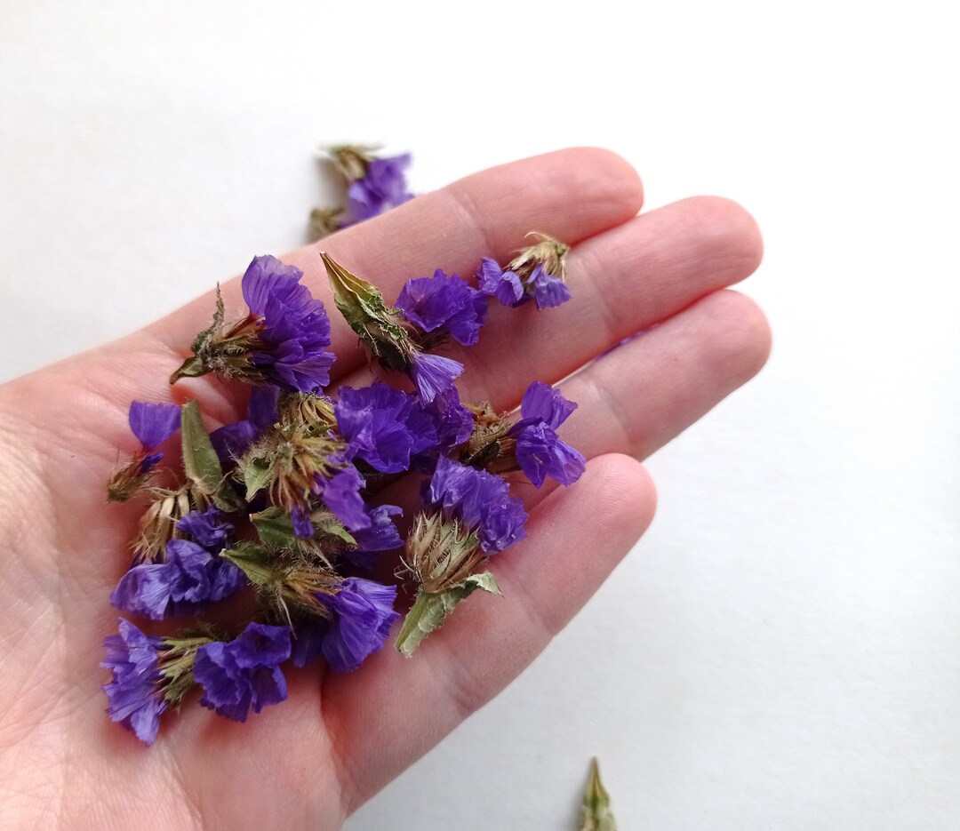 Dried Purple Limonium Flowers: Tiny Statice Mix for Crafts - Etsy