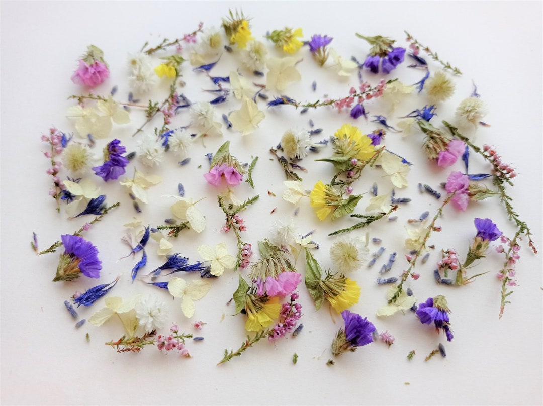 Tiny Mixed Flowers for Crafts 50ml Box, Dried Mini Flower Set for Crafts, Small Flower Set - Etsy