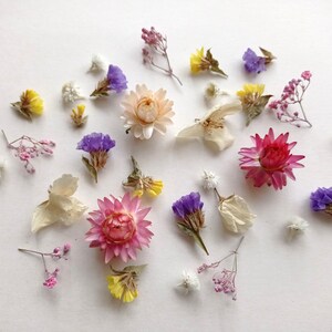 80ml (2.7oz) Box Tiny Dried Flower Mix, Real Natural Mini Flowers, Bulk ...