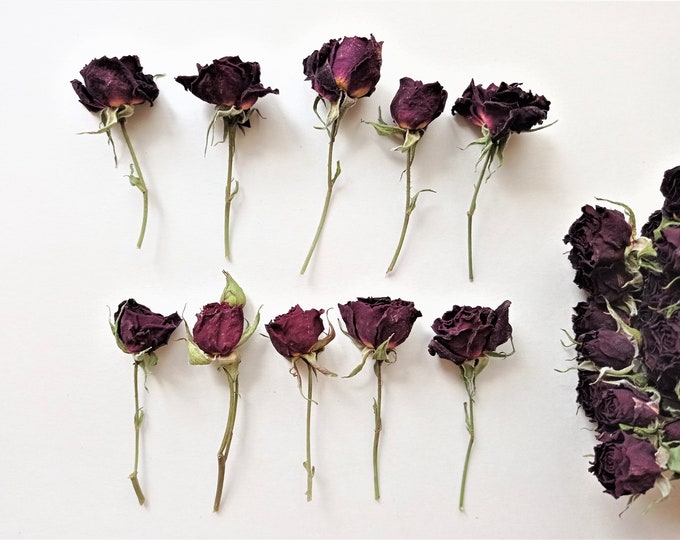 Vampire Paper Book Flowers, Vampire Decor, Dracula Paper Roses, Red ...