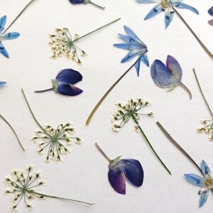 Pressed Blue Flower Set 18pcs, Dried Pressed White Summer Flower Mix, Bulk Pressed Delicate ...