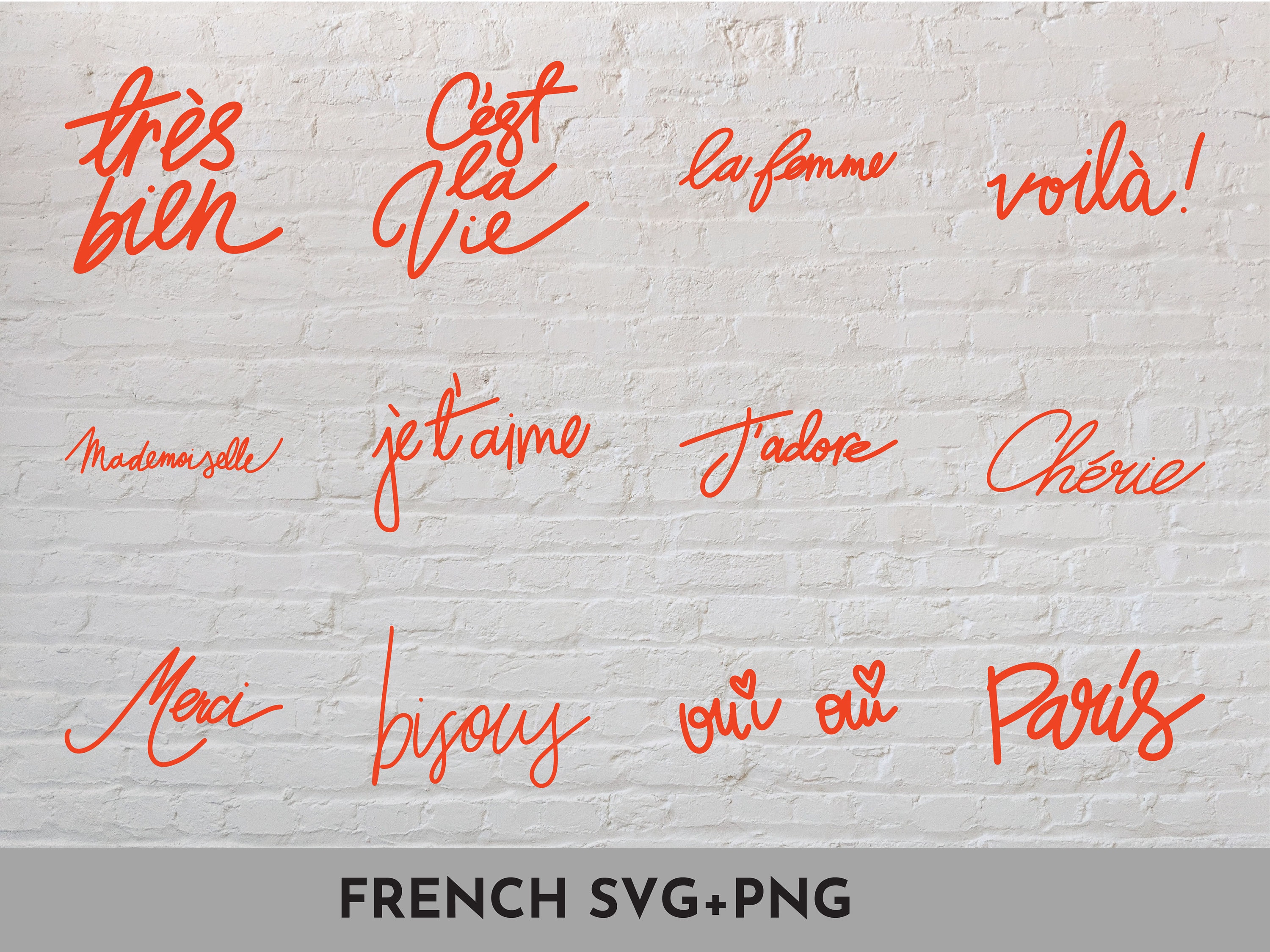 12 French Words SVG + PNG Bundle Lineart Minimalist Aesthetic ...