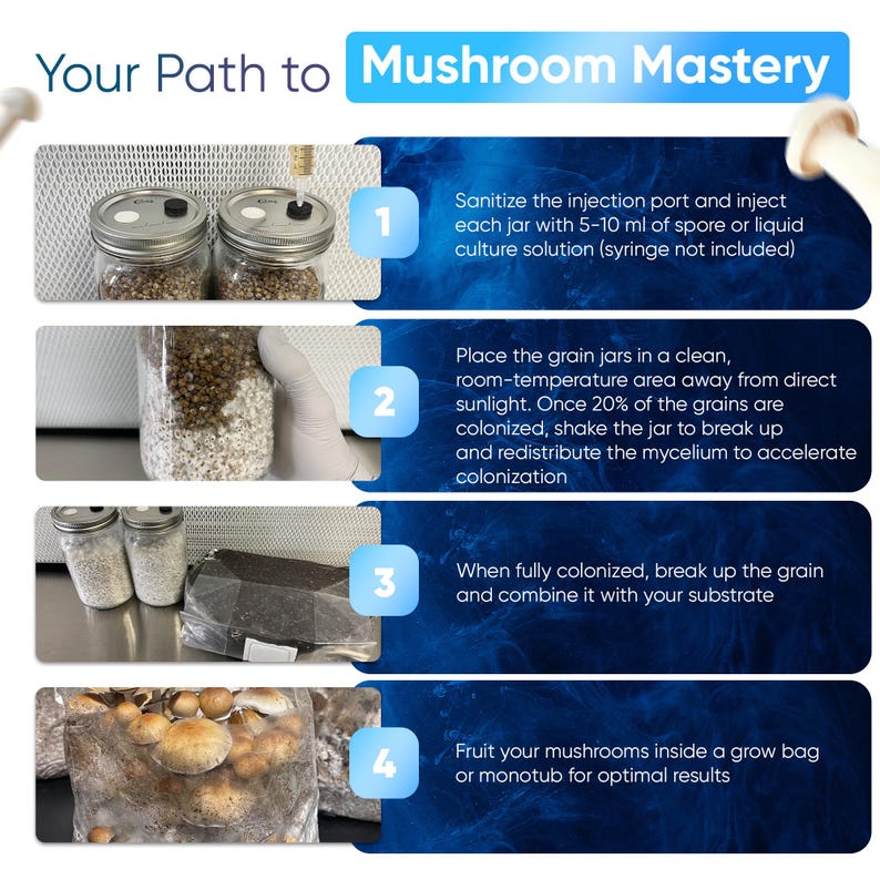 Sterile Mushroom Grain Jars, Sterilized Hydrated Grain Spawn | 32 Oz ...