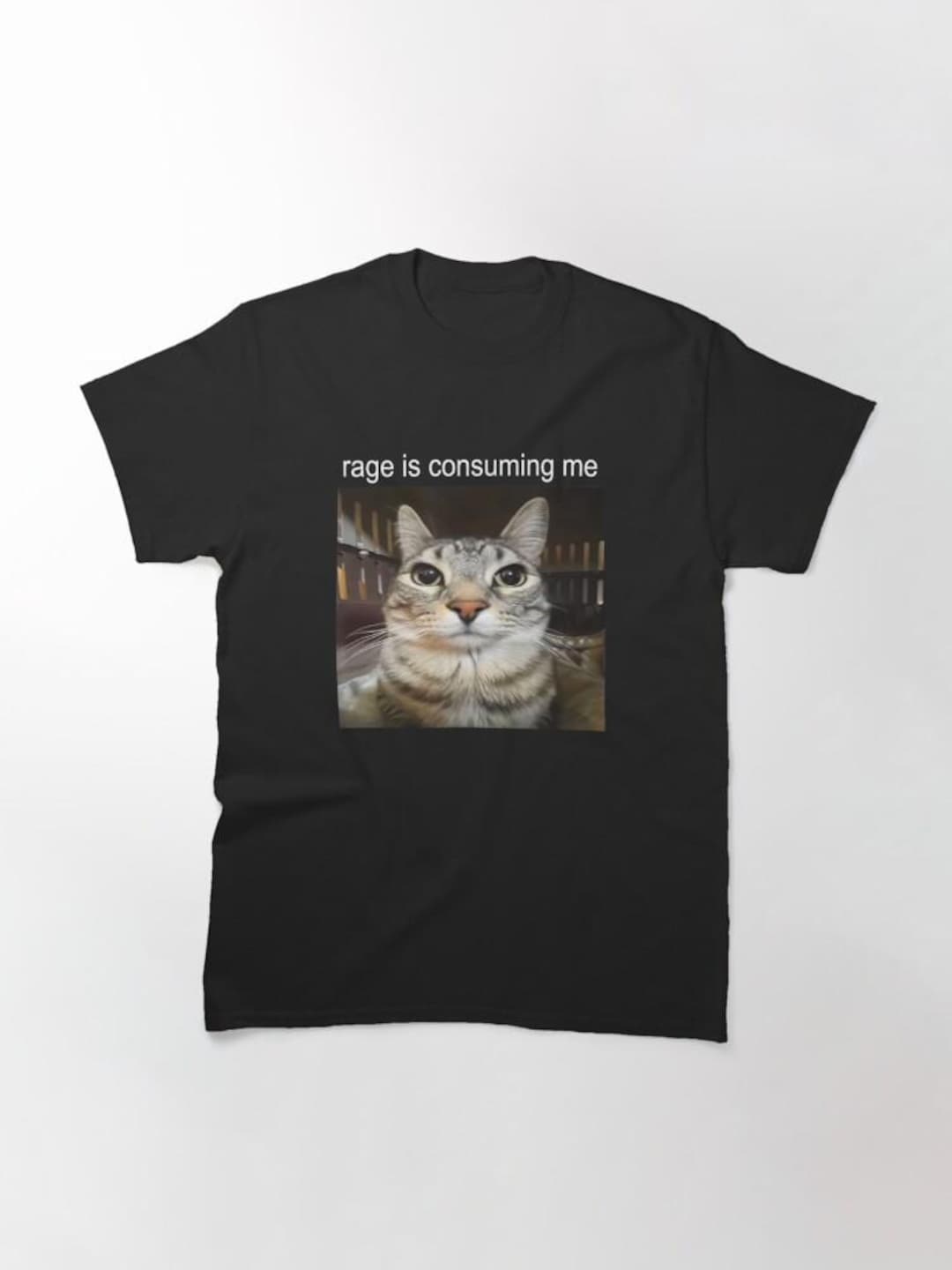 Rage is Consuming Me - Funny Cat Meme - Angry Feline Humor T-shirt - Etsy
