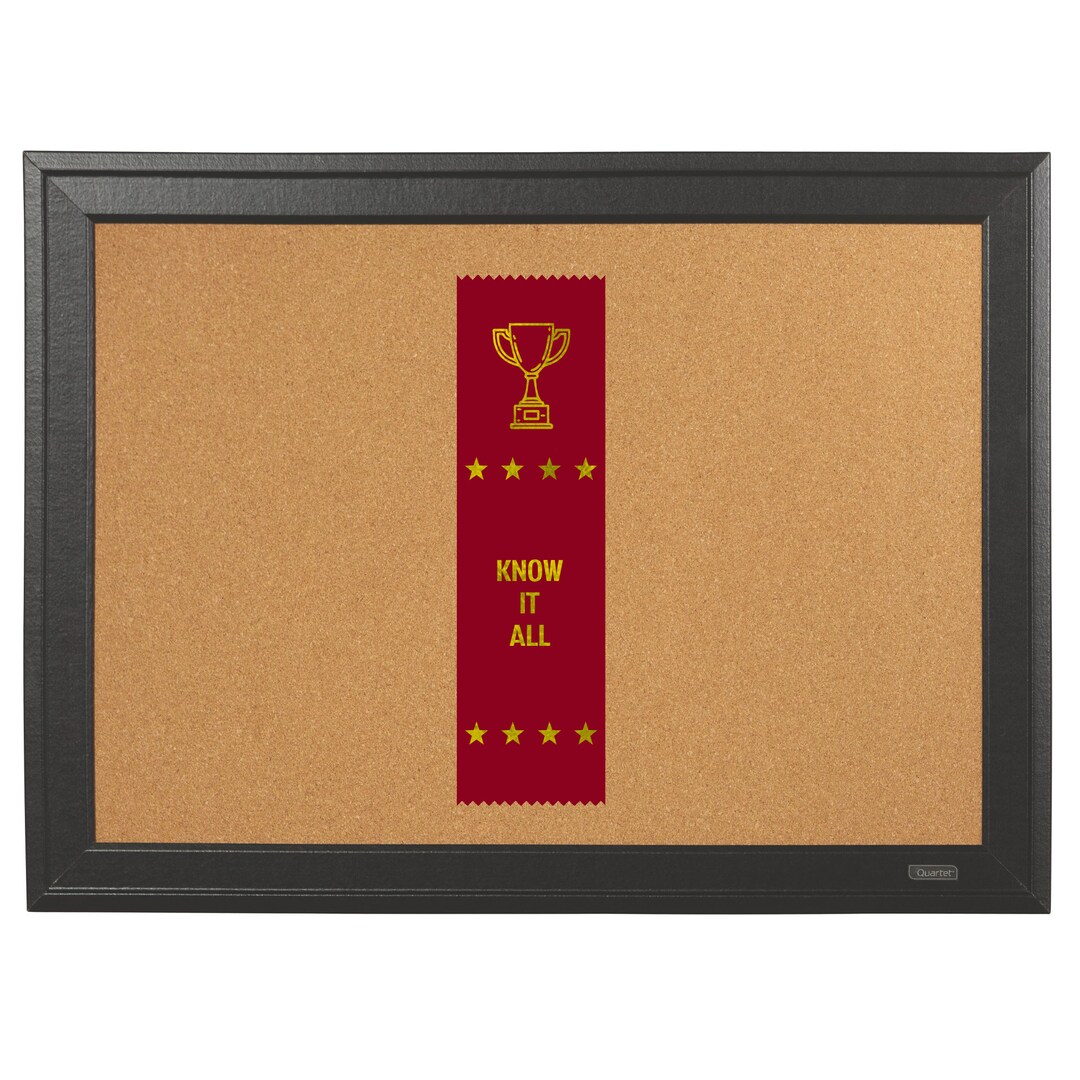 Sarcastic Award Know It All Great for Gag Gifts - Etsy