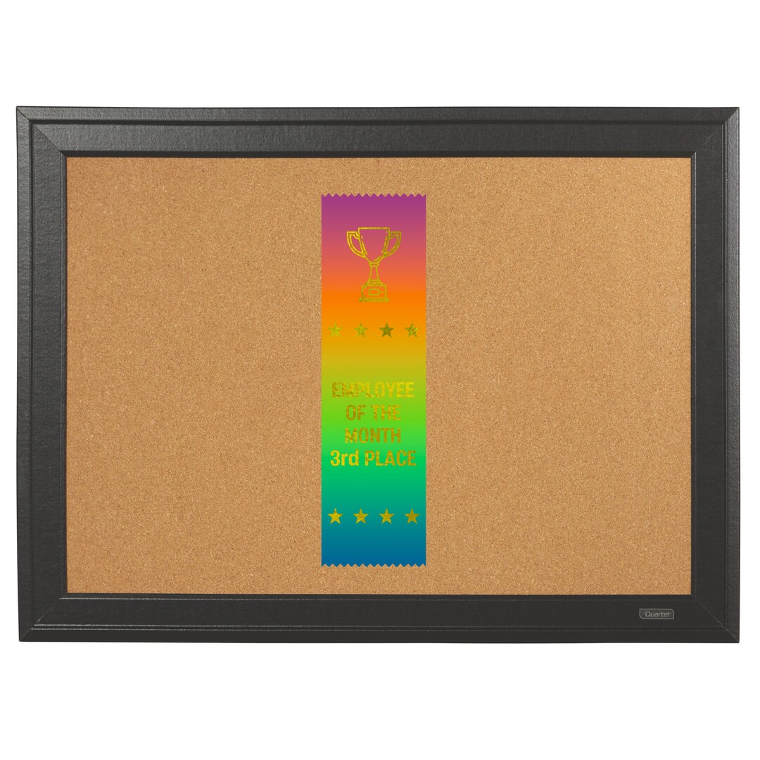 Sarcastic Award Employee of the Month 3rd Place Great for - Etsy