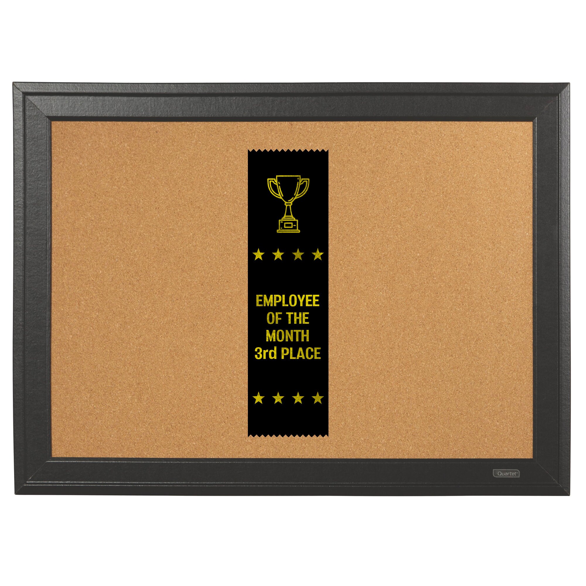 Sarcastic Award Employee of the Month 3rd Place Great for - Etsy