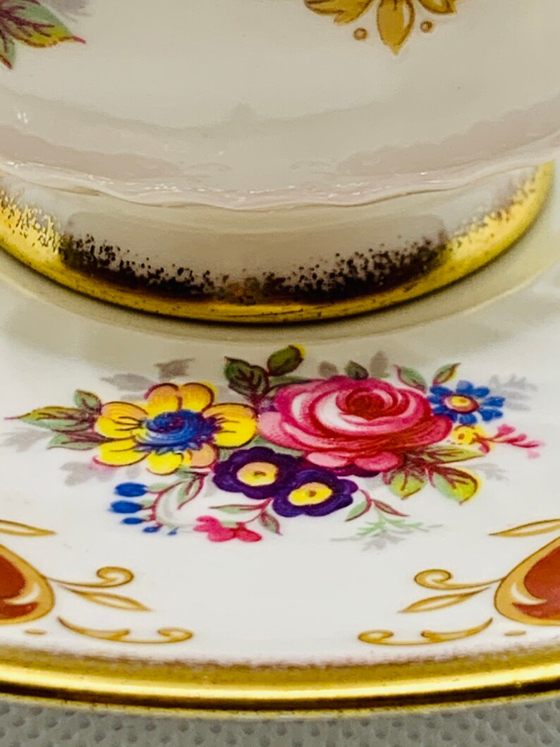 1962-1974 Abbeydale Rose Duffield Derbyshire English Bone - Etsy