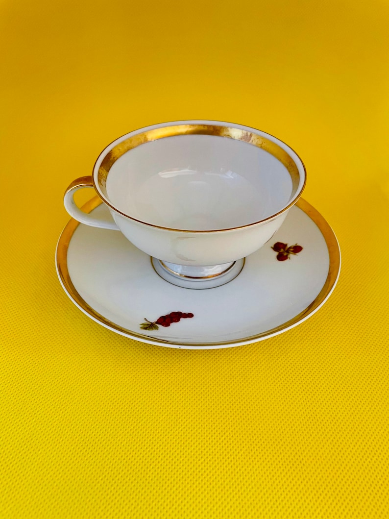 1950-1960 PMR Jaeger & Co. Bavaria Fruit Harvest Tea Set - Etsy