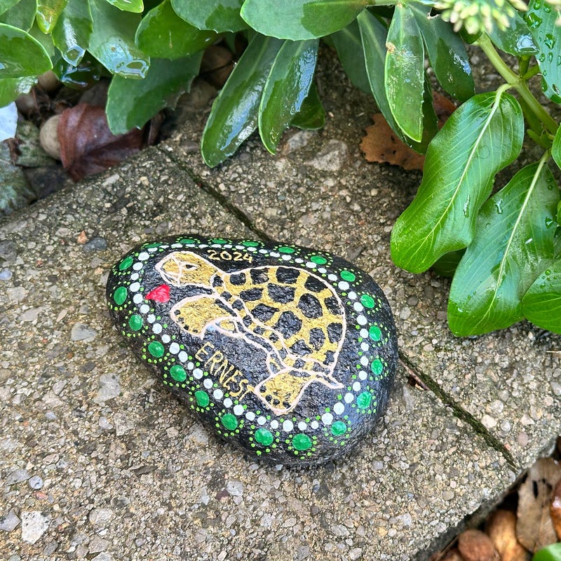 Painted Turtle Rock - Etsy