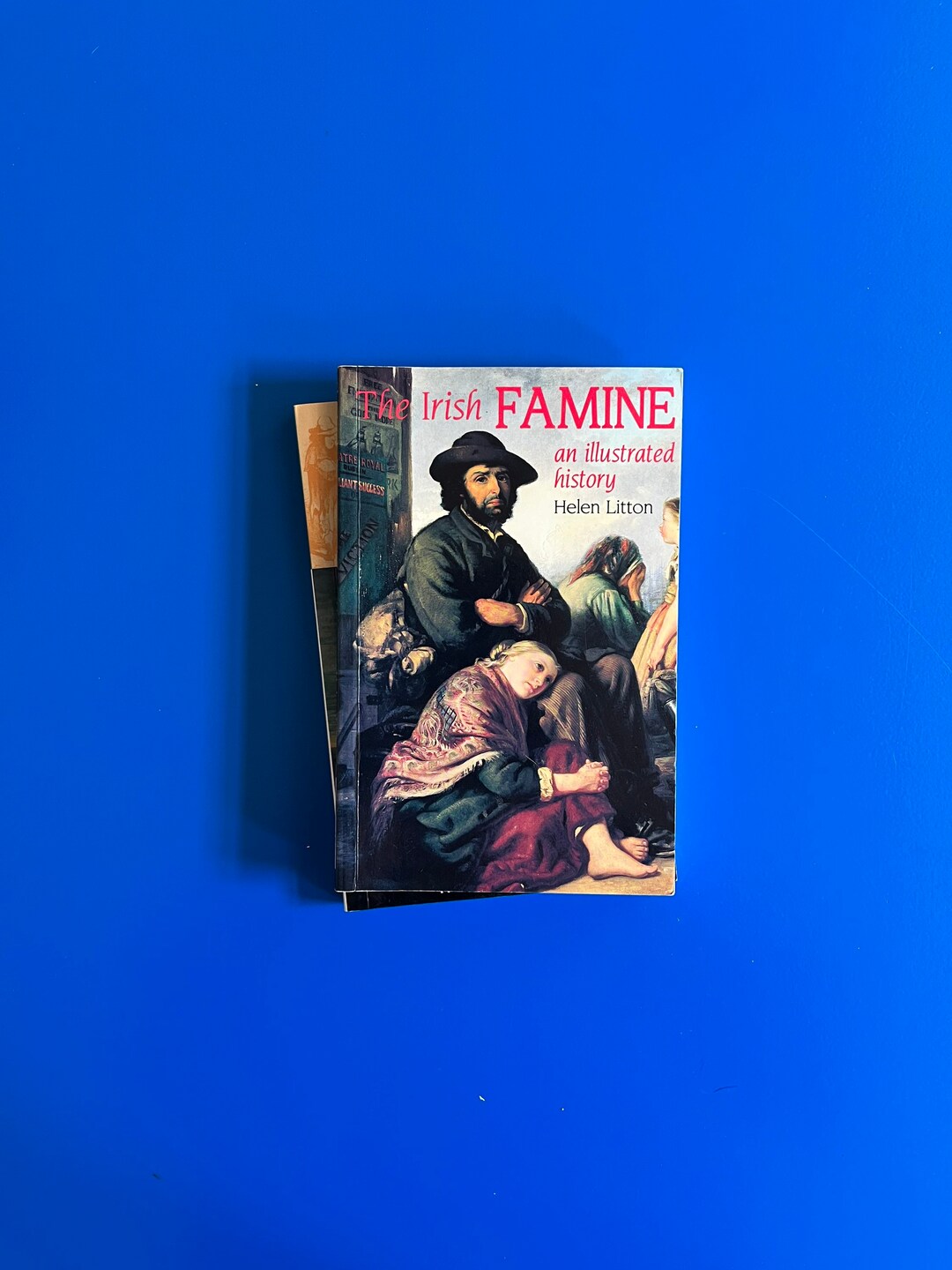 The Irish Famine: an Illustrated History by Helen Litton (1994) Two ...