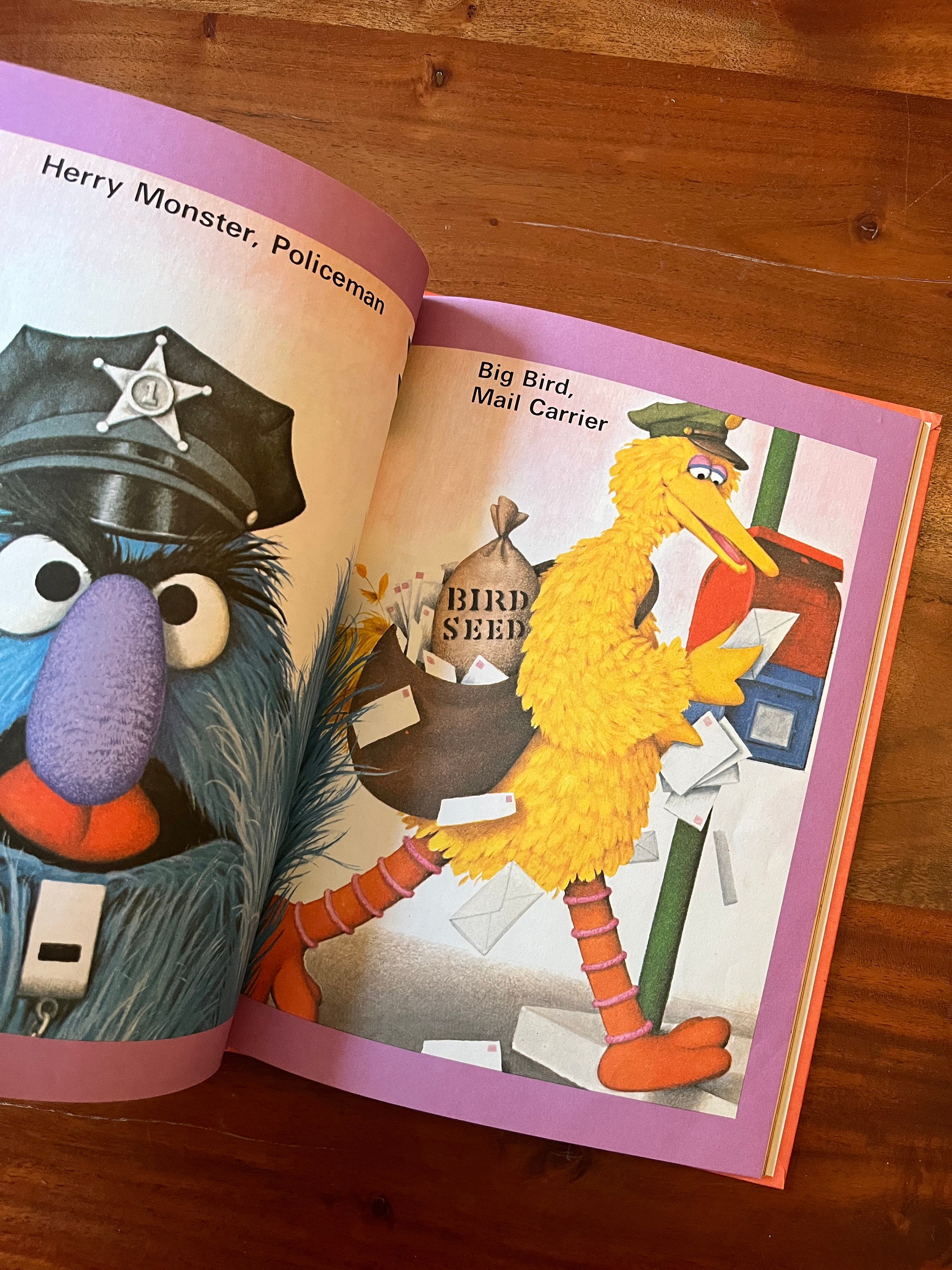 Sesame Street Library Volume 1 1978 Hardcover. With Art by J. Mathieu ...