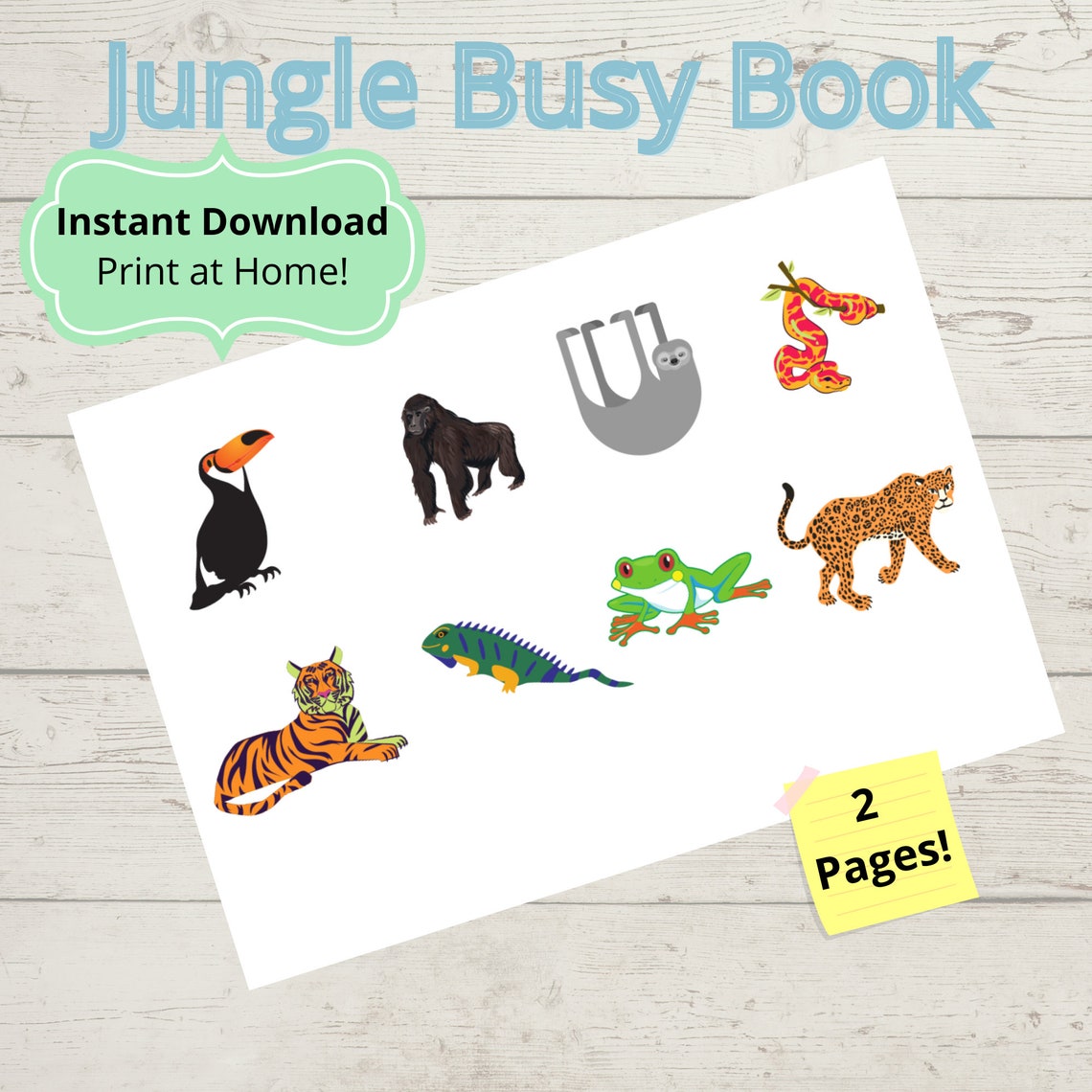 Jungle Worksheet, Preschool Worksheets, Jungle, Animals, Worksheet ...